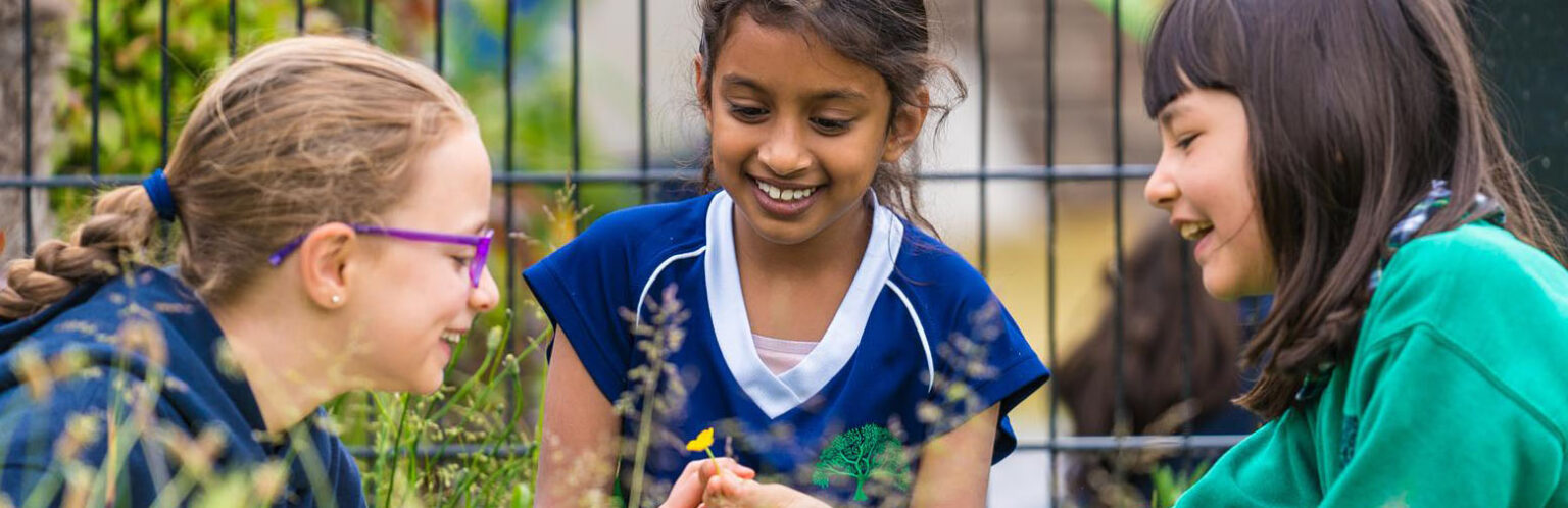 Oliver Snowball | Bute House